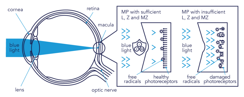 Protect your eyes | VitaHealth